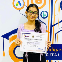 Digital Marketing Course in Zirakpur With 100% Assistance- CADL